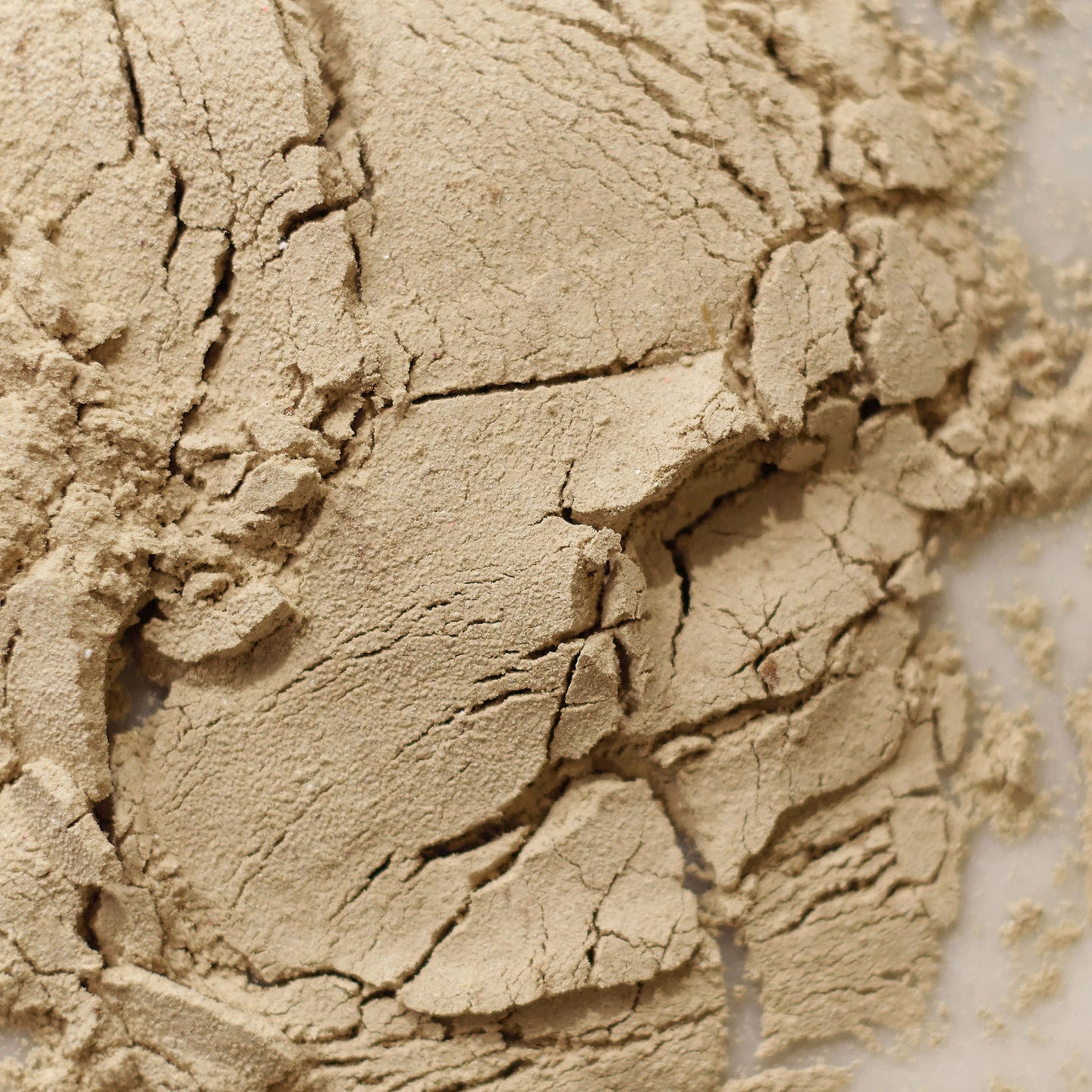 2-in-1 Plant-Based Probiotic Protein Powder + Gut Health | Neue Theory